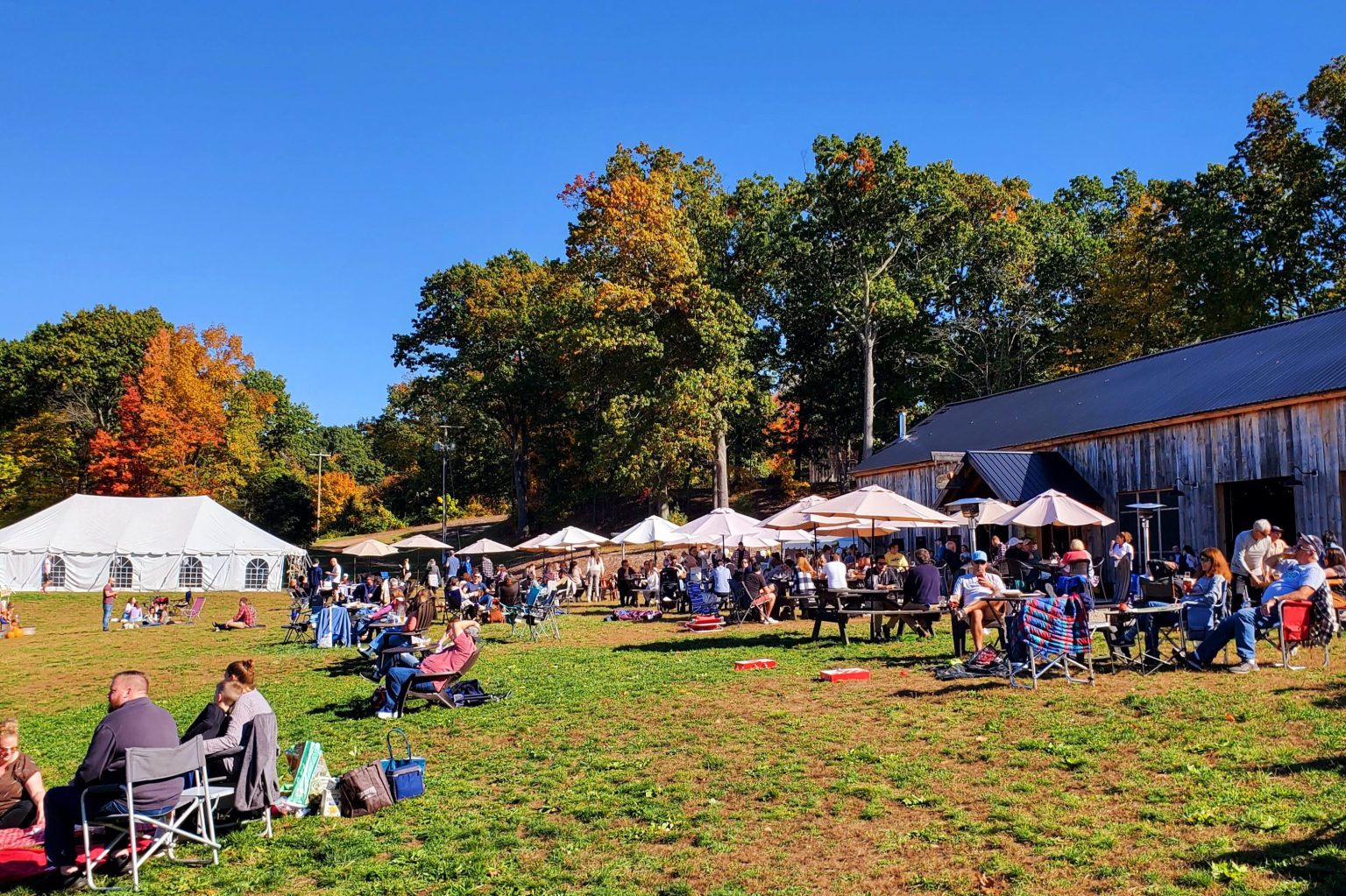 Home [hopsonthehillbrewery.com]