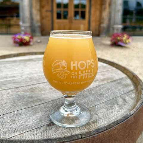 What's On Tap | Hops on the Hill Brewery South Glastonbury, CT